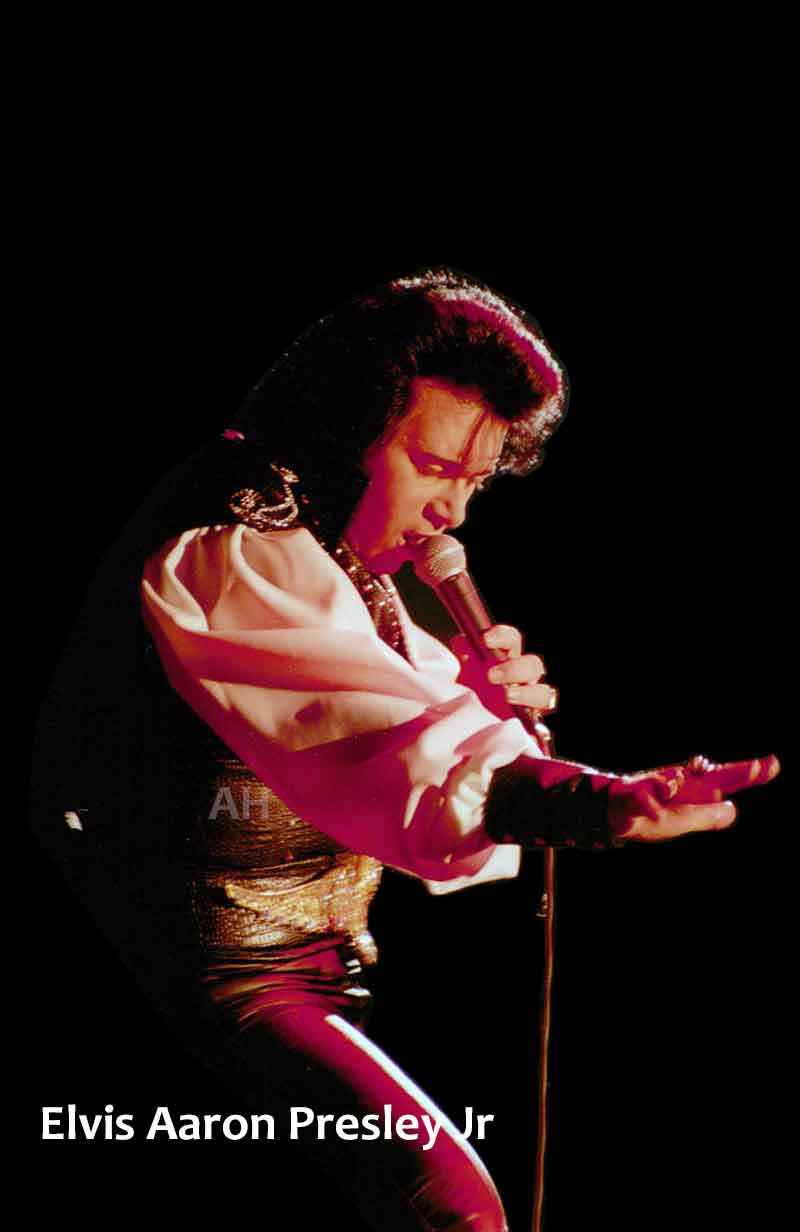 Elvis-Aaron-Presley-Jr-Wedding-Singer-Performance-Live | Absolute Hollywood